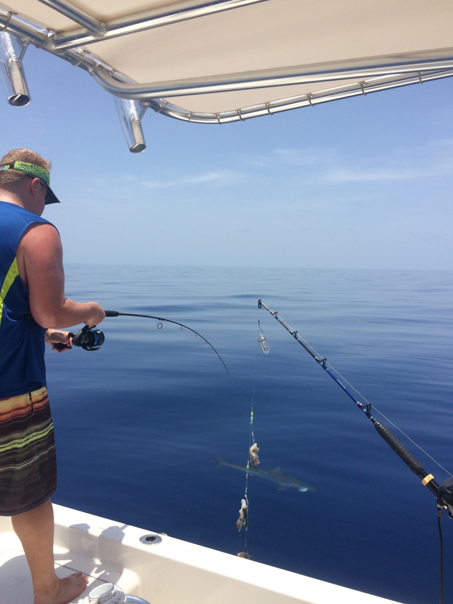 Shark Fishing | Capt Jeff | Key West Fishing Charters, Family Kid ...